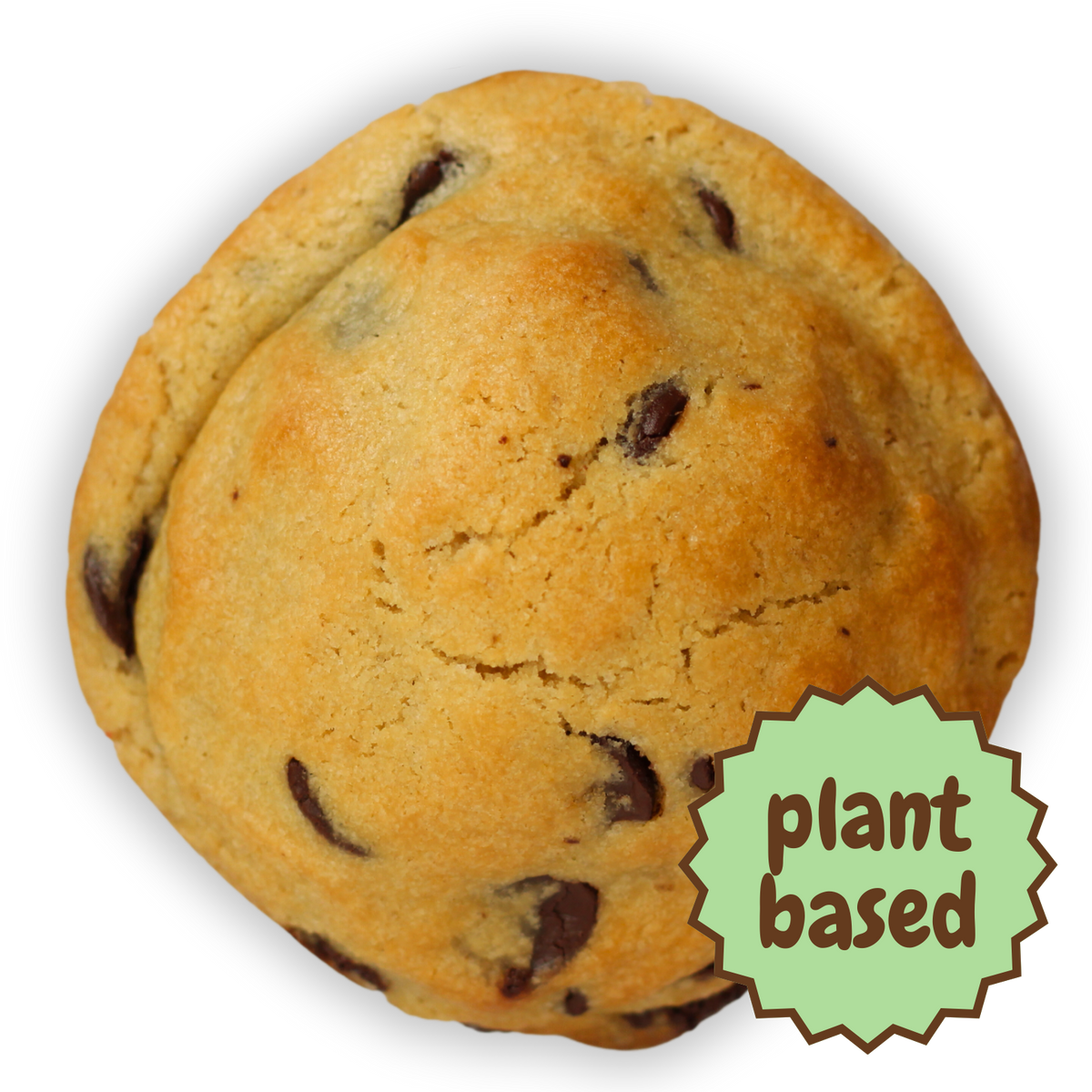 Classic Chocolate Chip – Holy Cookies