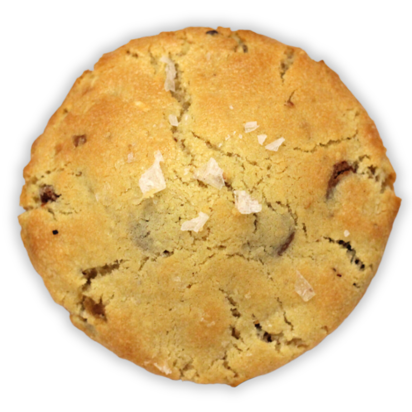 HOLY COOKIES: Homemade American Cookies - Antwerp – Holy Cookies